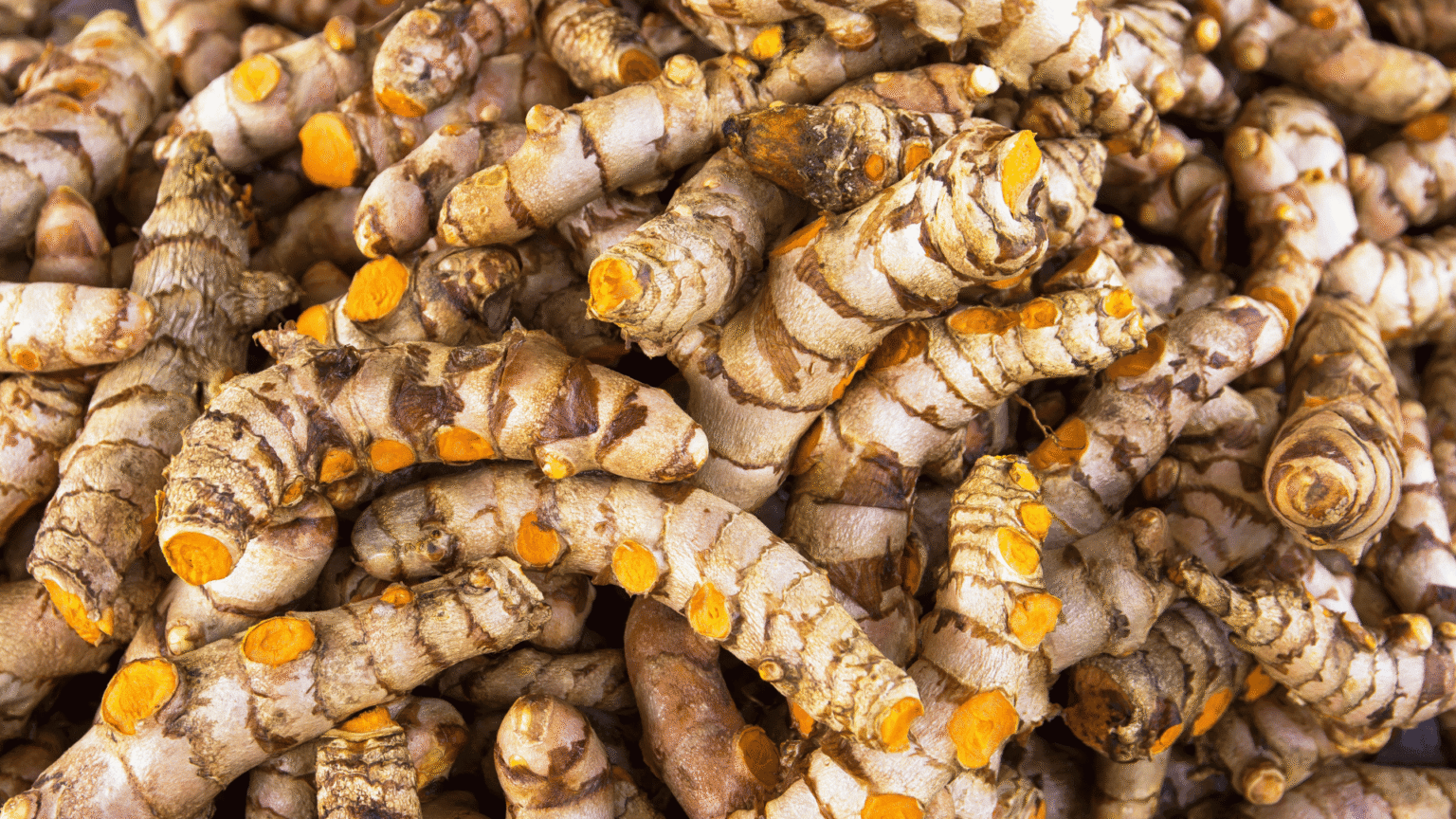Growing Turmeric in Pots: A Complete Beginner’s Guide