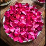 15 Best Edible Flowers to Grow: Add Beauty and Flavor