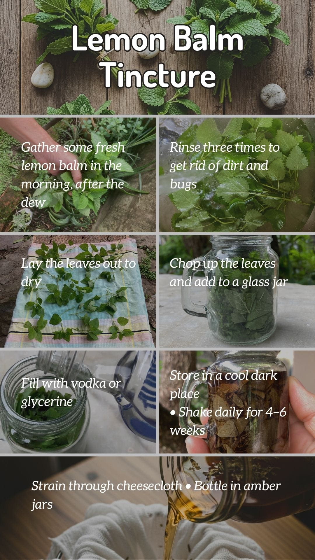 What to Do with Lemon Balm: Benefits, Uses, and Easy Recipes