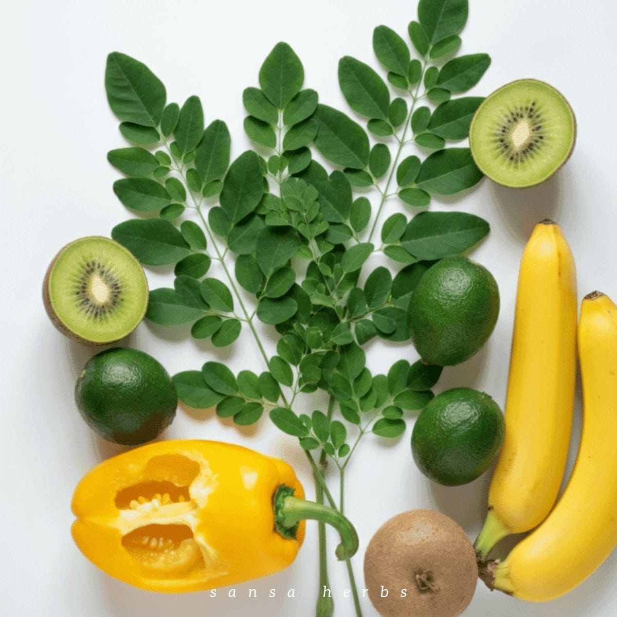 Moringa Benefits for Women's Health: Science-Backed Secrets for Health ...