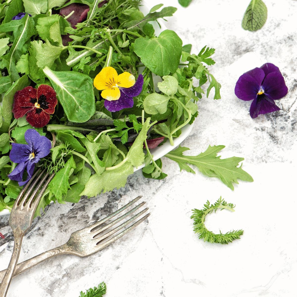 15 Best Edible Flowers to Grow: Add Beauty and Flavor